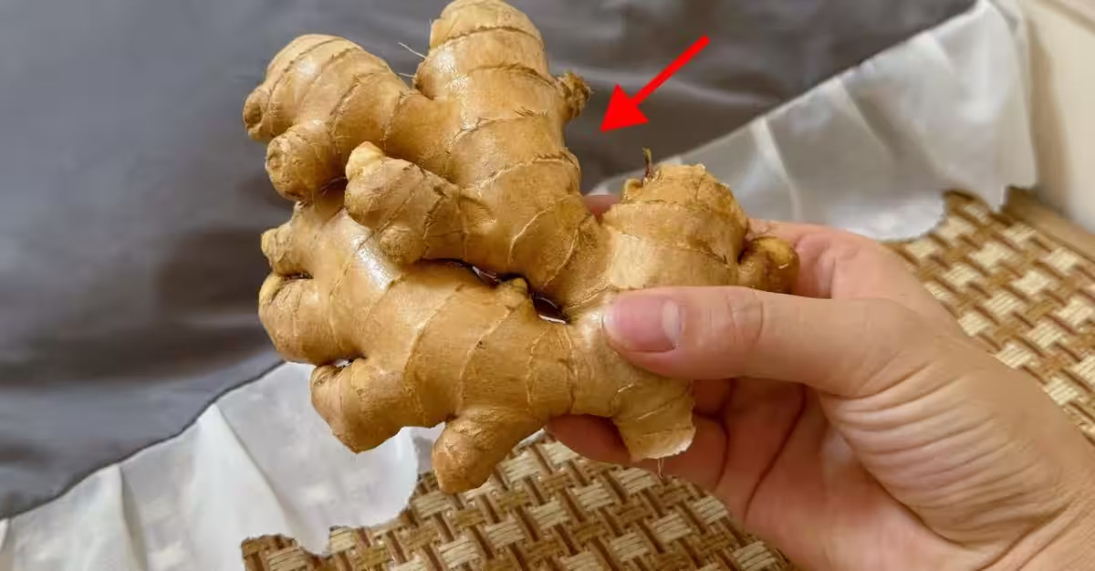 睡覺前，一定要記得在枕頭下放塊生薑！看完你會感謝我，作用真的很厲害