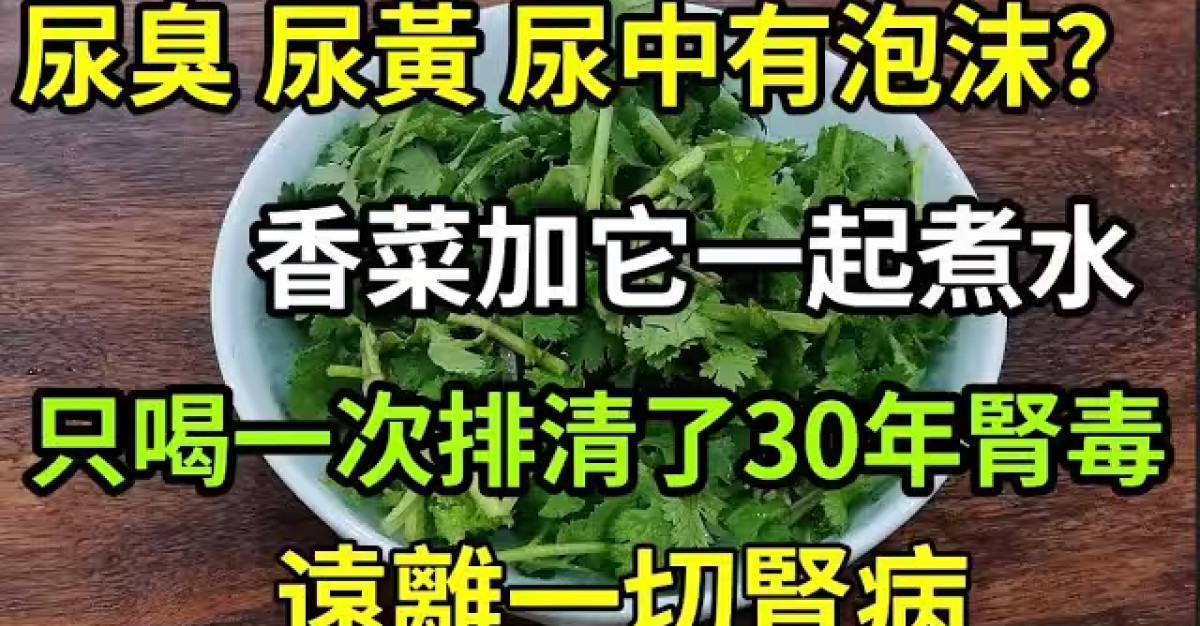 尿臭 尿黃尿中有泡沫？那是腎臟毒素嚴重超標了！香菜加它一起煮水喝，一次就能排清30年腎毒，讓你腎臟年輕30歲